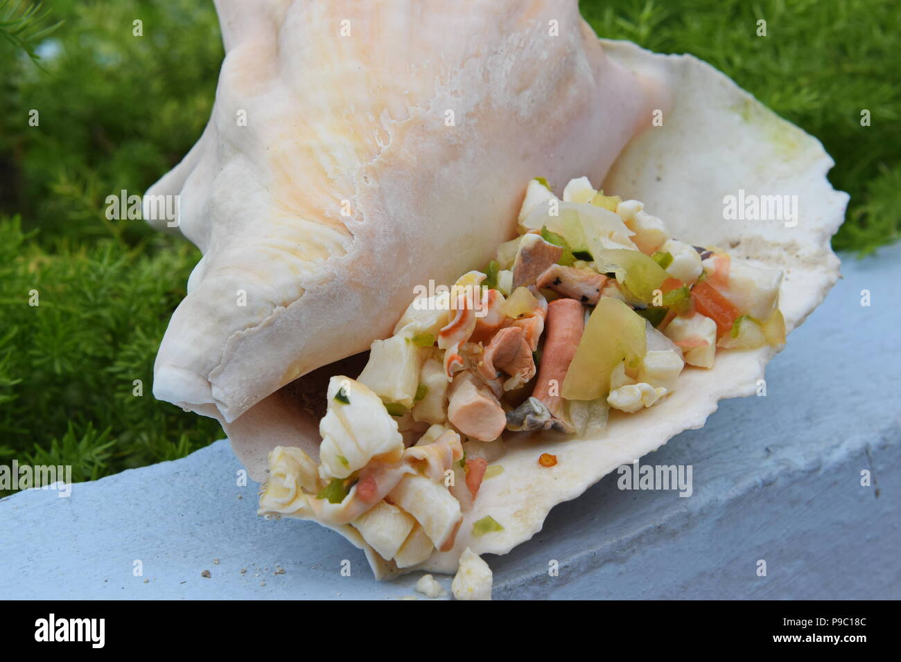Conch salad hi-res stock photography and images - Alamy