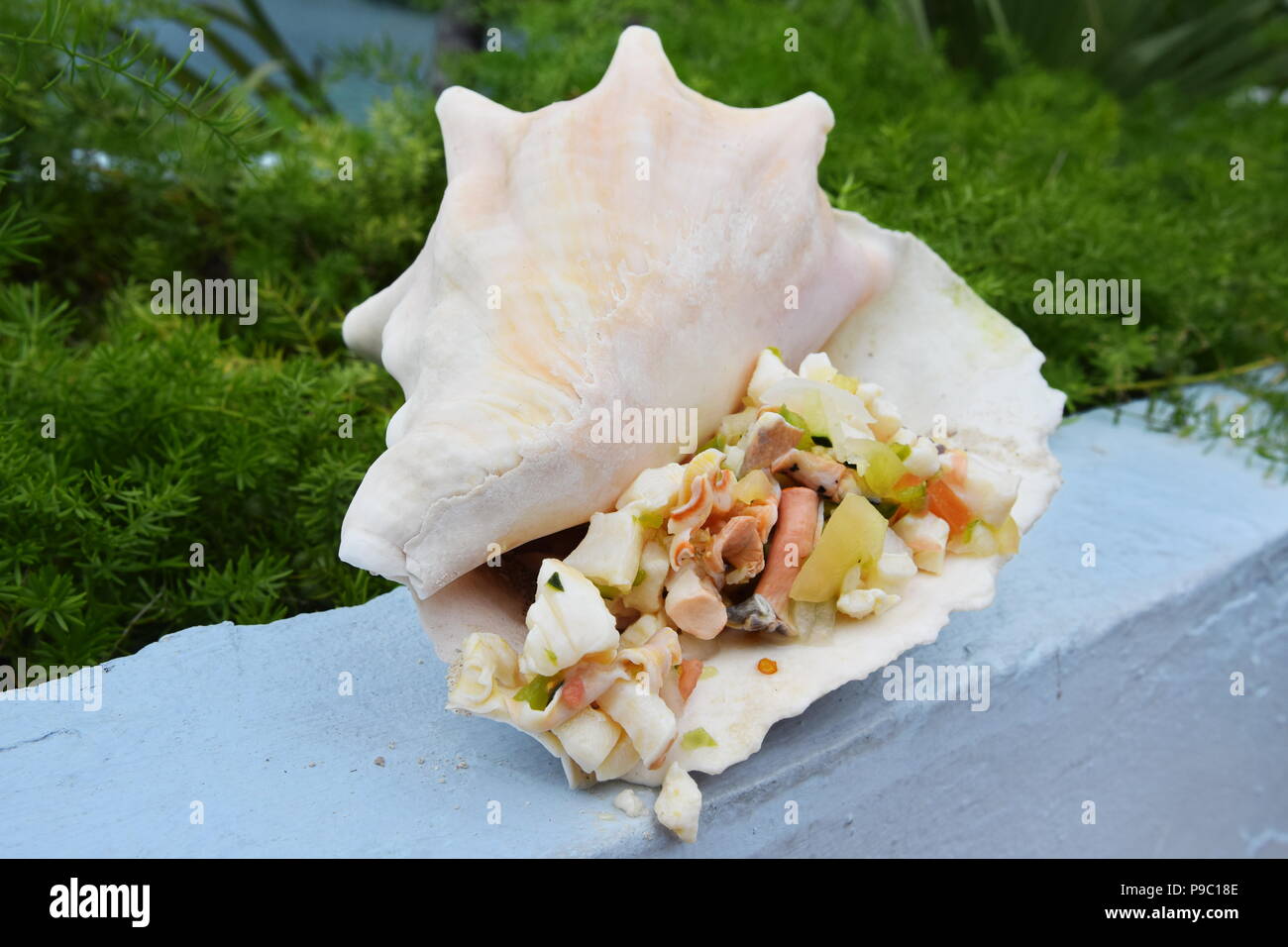 Conch Salad High Resolution Stock Photography and Images - Alamy