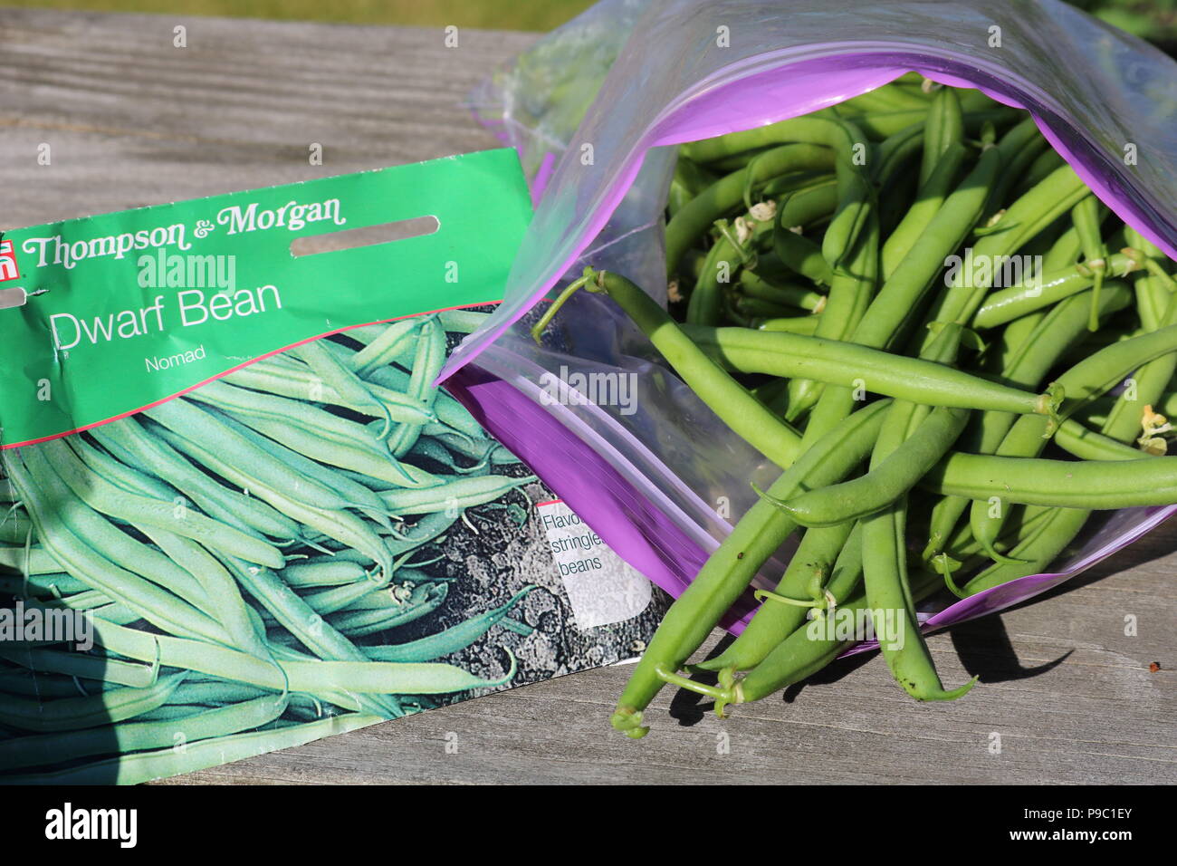 Dwarf bean hi-res stock photography and images - Alamy