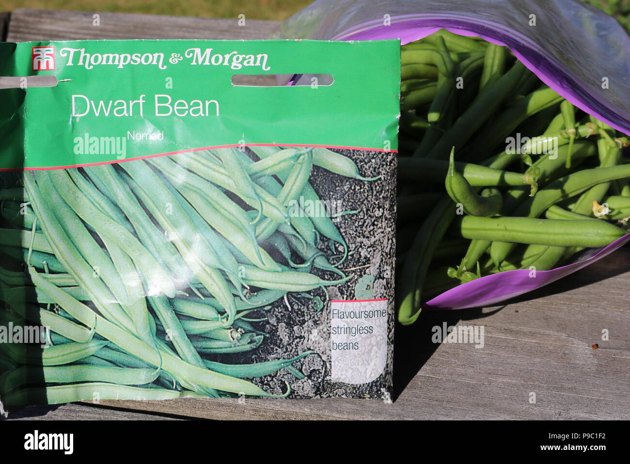 Dwarf bean hi-res stock photography and images - Alamy