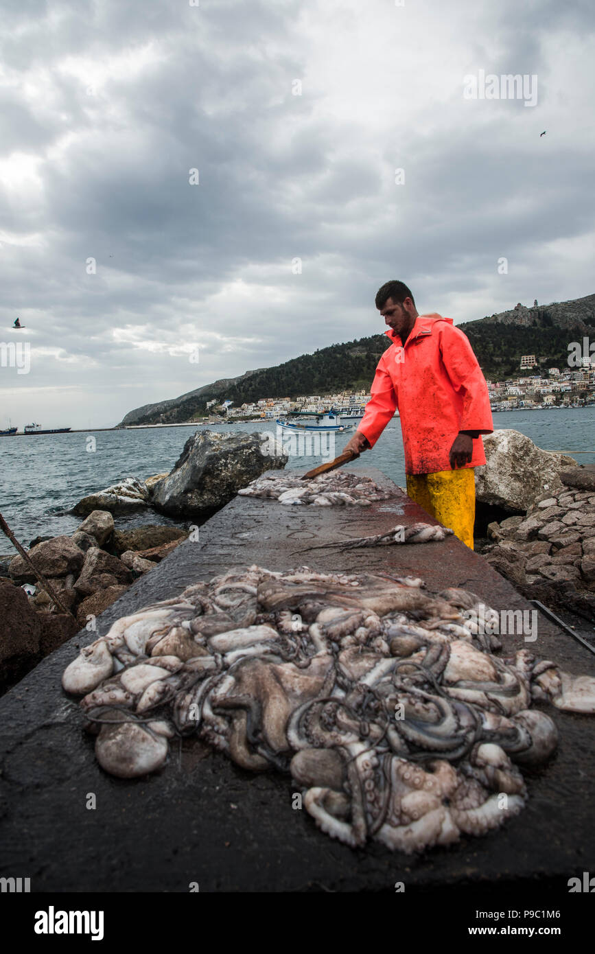europe, greece, dodecanese, kalymnos, island, pothia, town, port ...