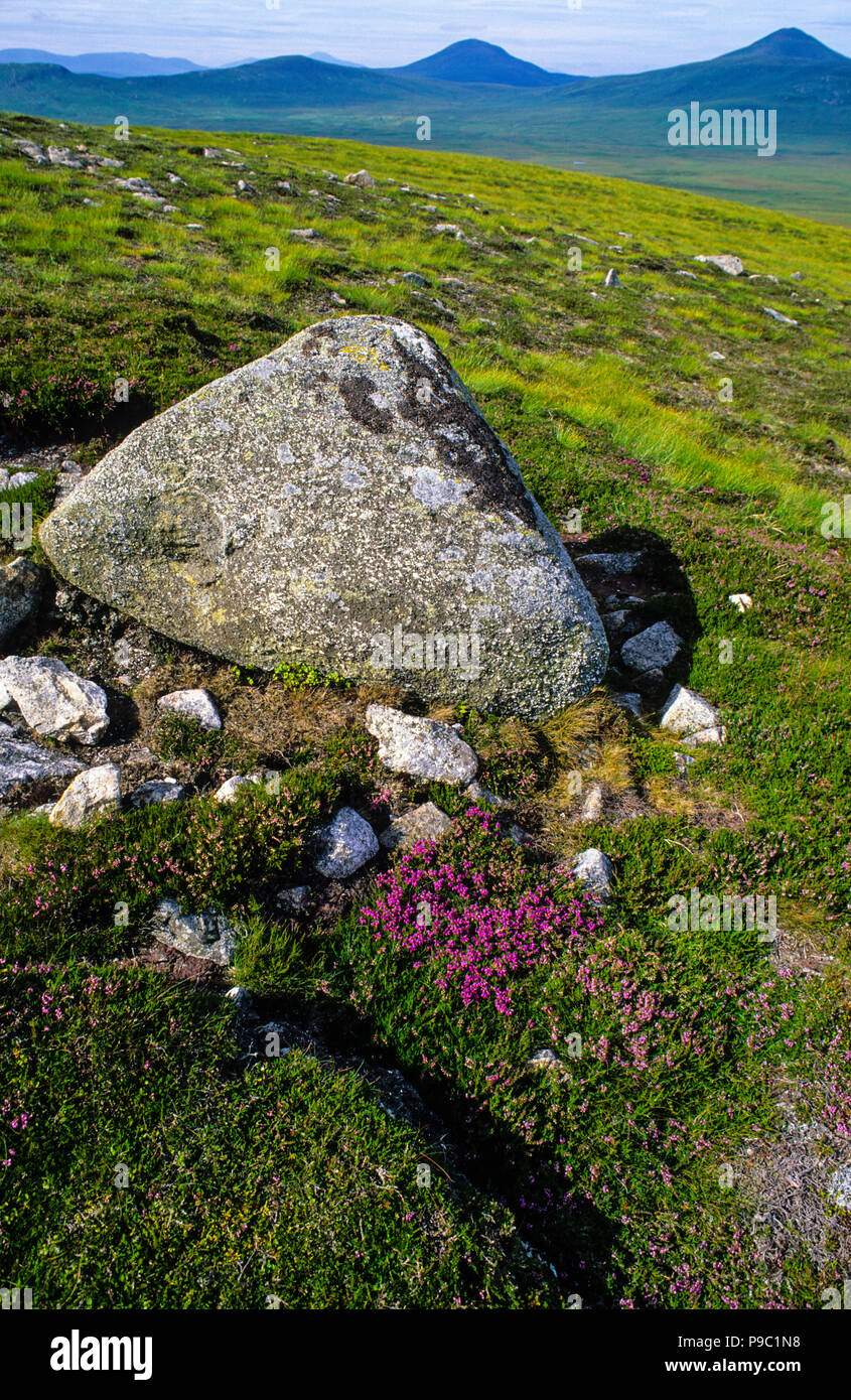 Flow country and forsinard hi-res stock photography and images - Alamy