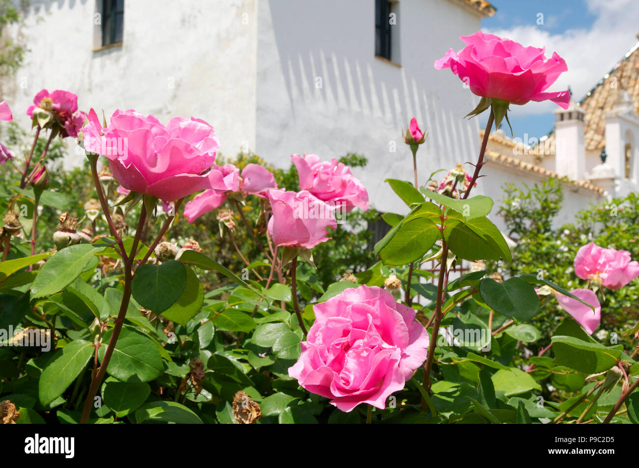 White spanish house hi-res stock photography and images - Alamy