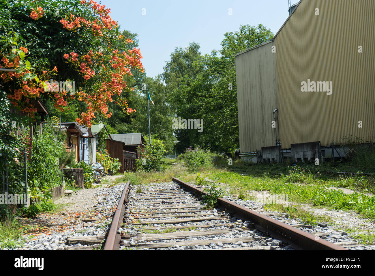 Flowers next to railroad track hi-res stock photography and images - Alamy