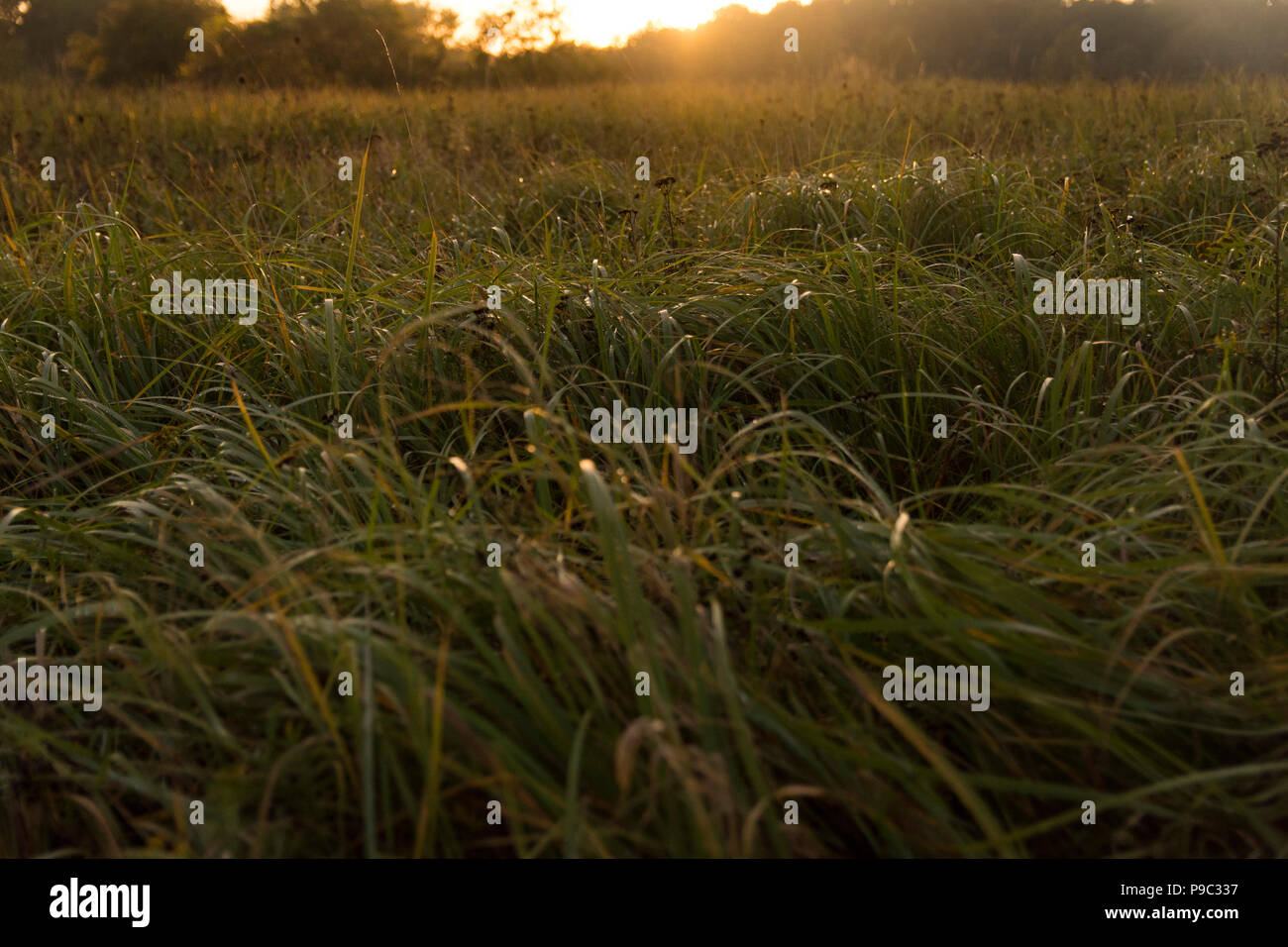 Peacefull hi-res stock photography and images - Alamy