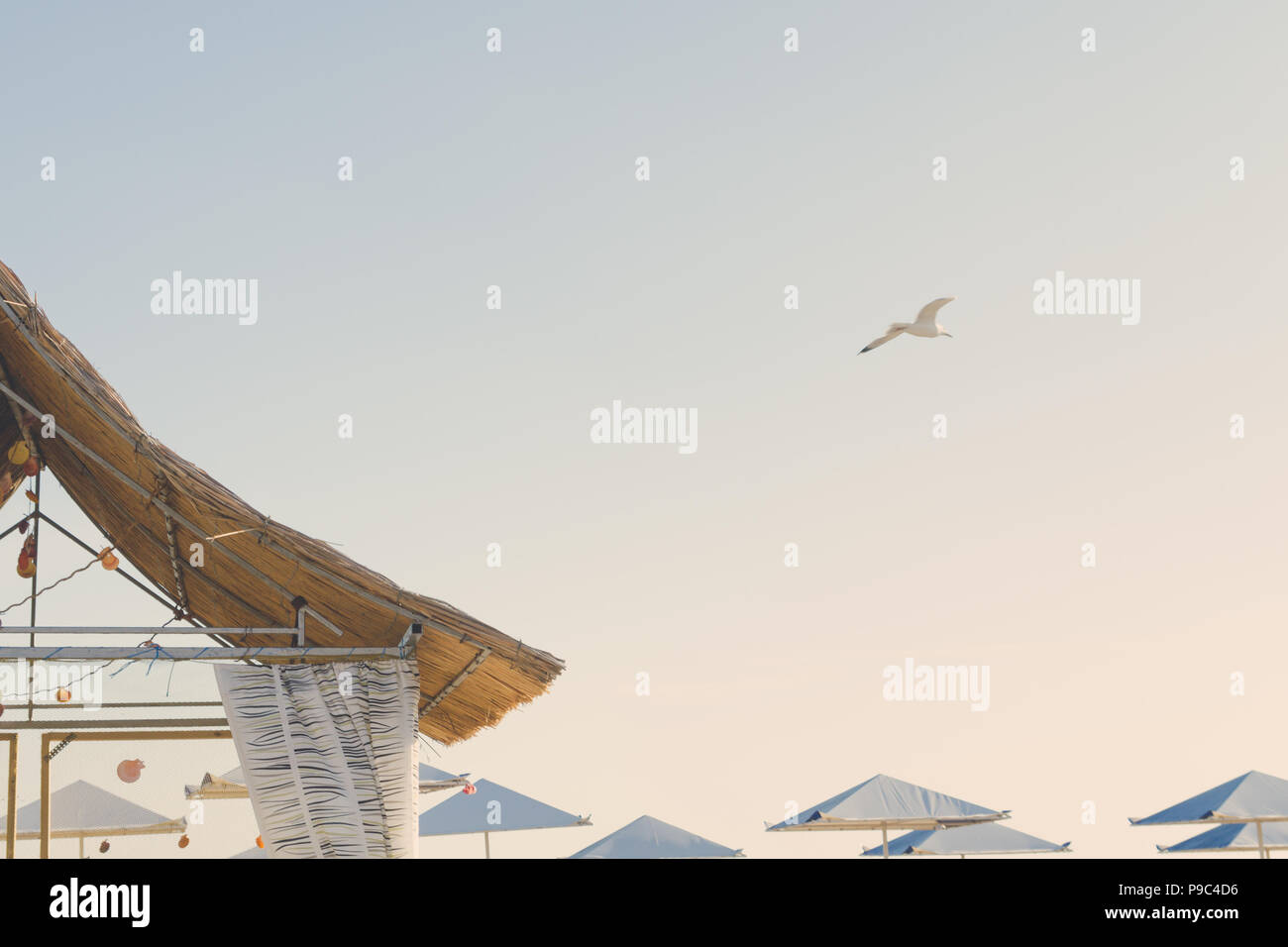 Wooden beach house decorated with sea shells on the beach Stock Photo ...