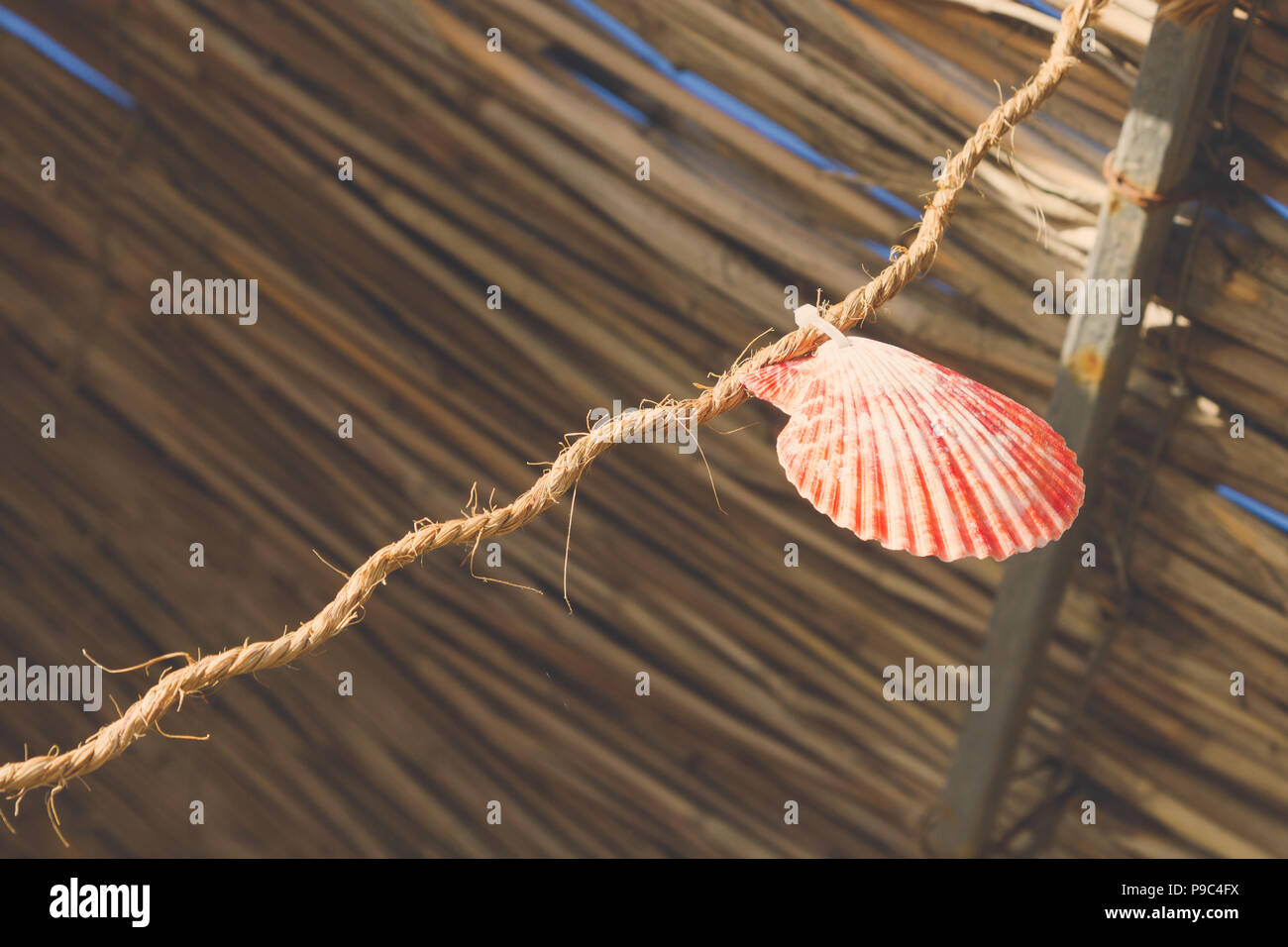 Wooden beach house decorated with sea shells on the beach Stock Photo ...