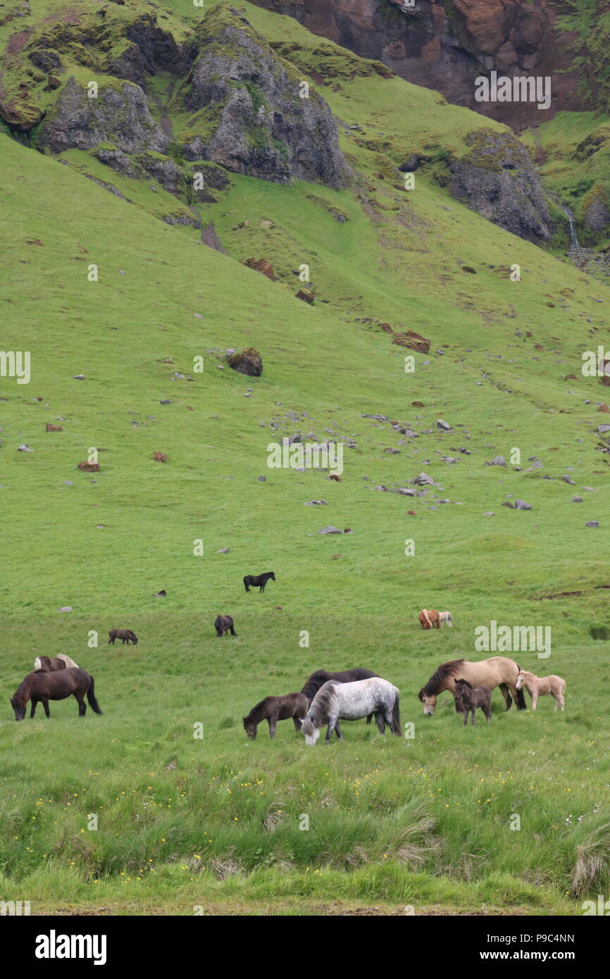 Serene icelandic landscape hi-res stock photography and images - Alamy