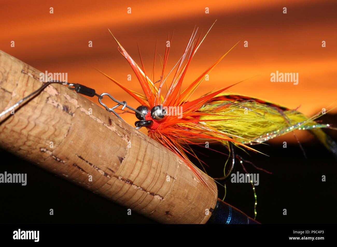 Fly for catching predatory fish at sunset, bought from a fishing tackle ...