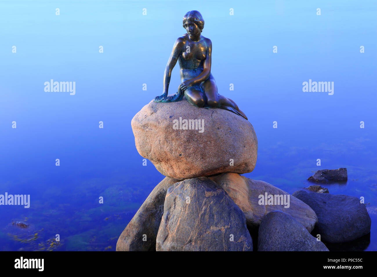 Statue of the Little Mermaid (1913) by Edvard Eriksen at Langelinie in Copenhagen, Denmark Stock ...