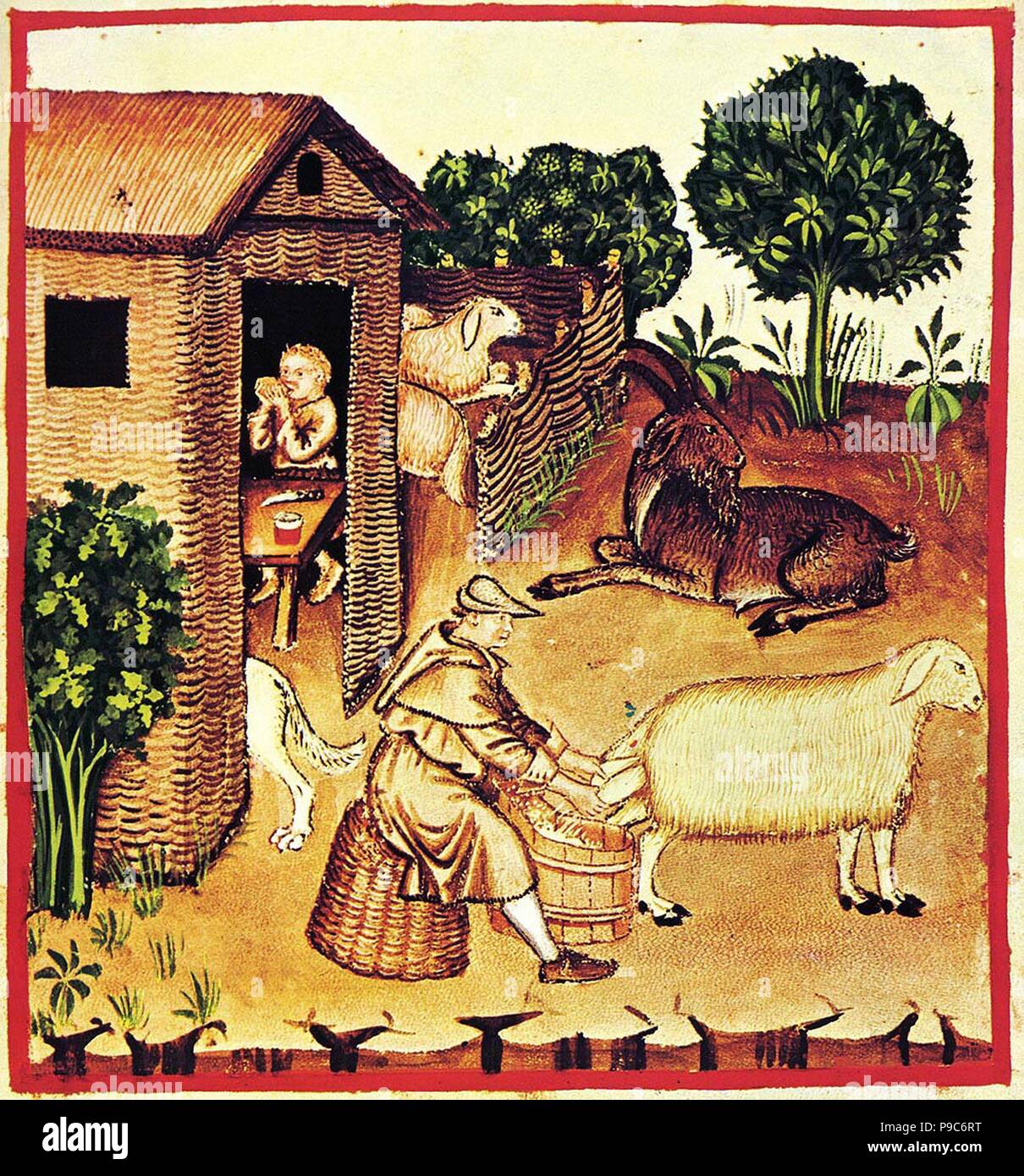 Tacuinum Sanitatis Biblioteca Casanatense Rome