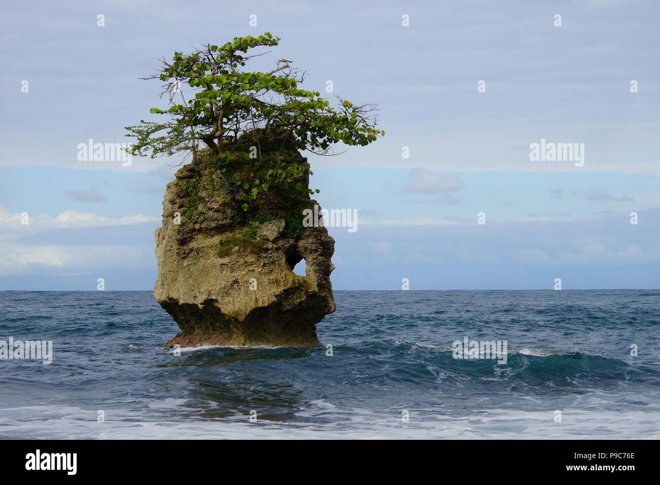 Tiny rocky island with a small tropical tree on top surrounded with ...