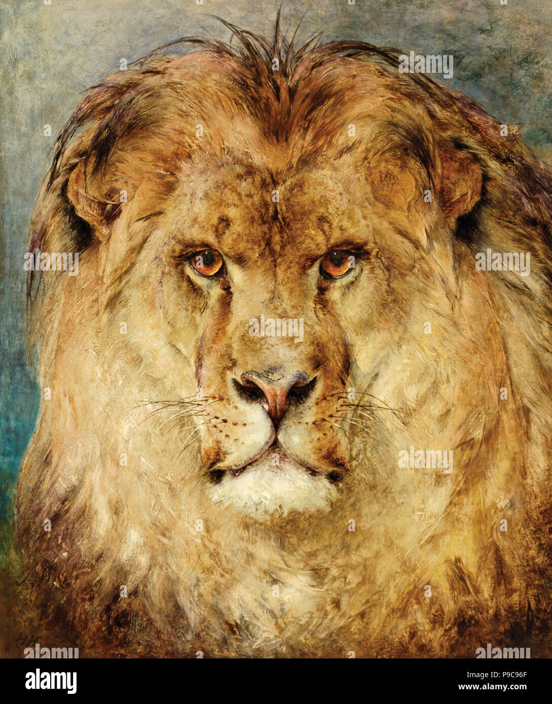 Lions head collection hi-res stock photography and images - Alamy