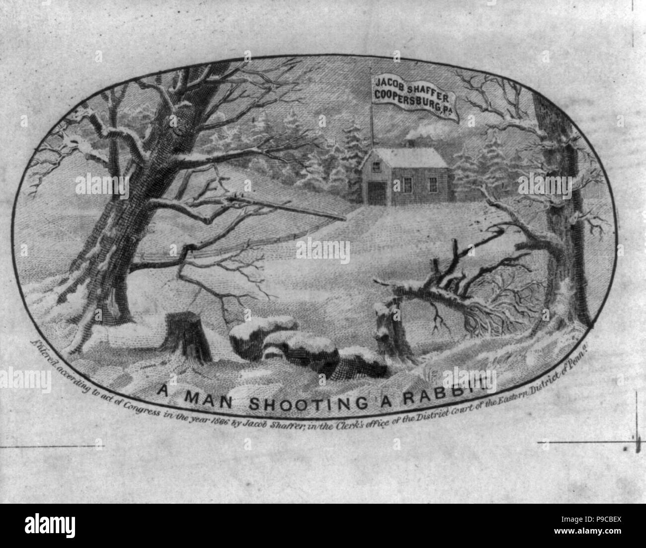 Picture rabbit Black and White Stock Photos & Images - Alamy