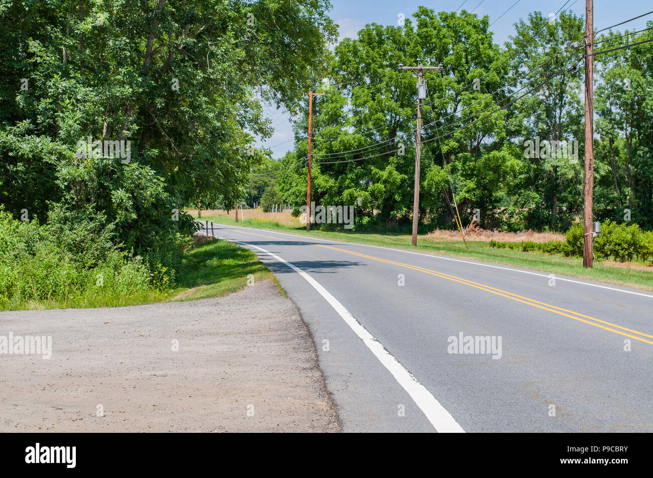Country road with trees and electric pole. Landscape countryside Stock ...