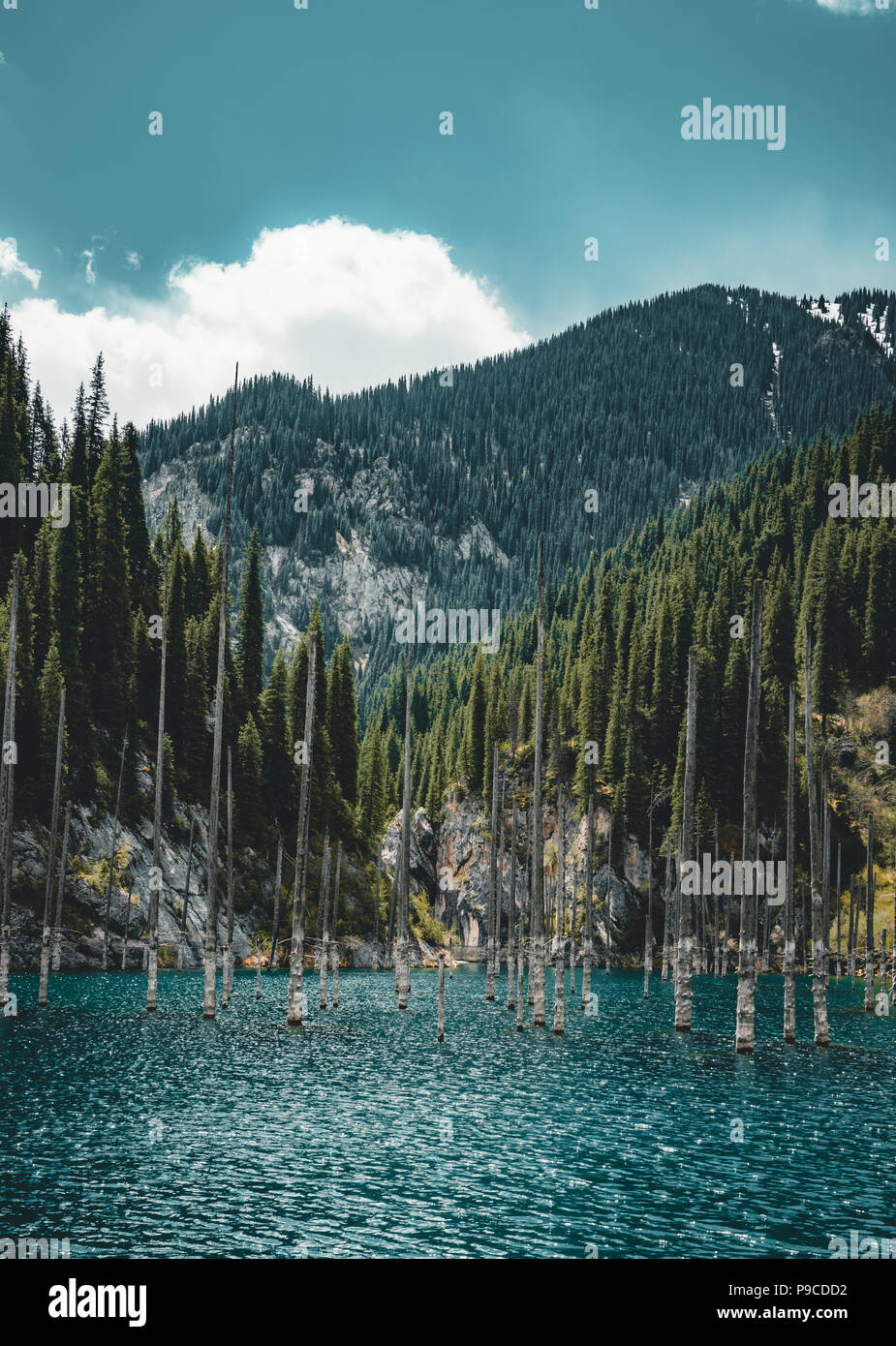 underwater-forest-of-lake-kaindy