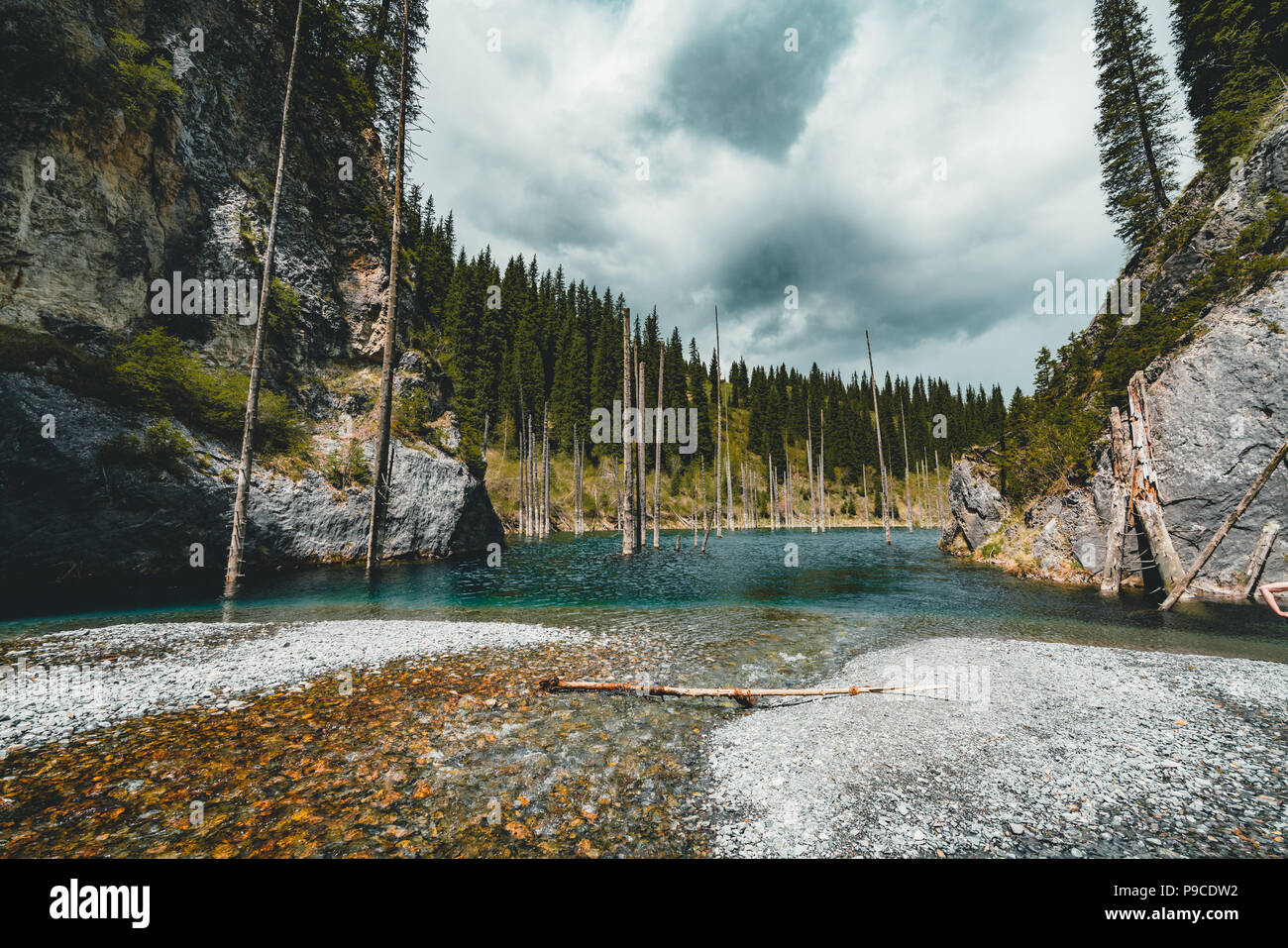 The sunken forest of Lake Kaindy. Lake Kaindy, meaning the "birch tree ...