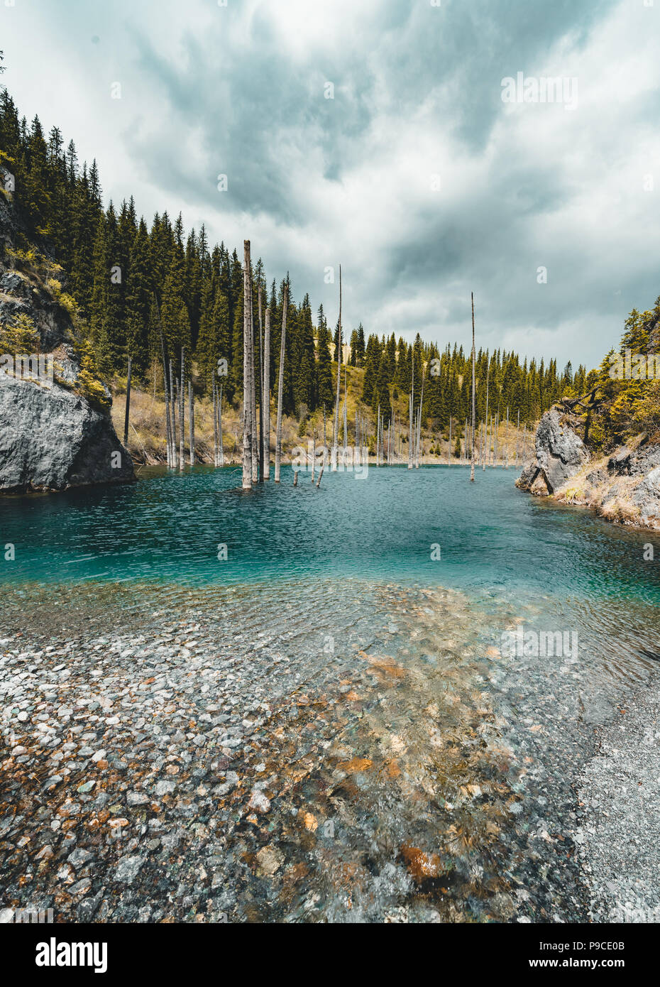 The sunken forest of Lake Kaindy. Lake Kaindy, meaning the "birch tree ...