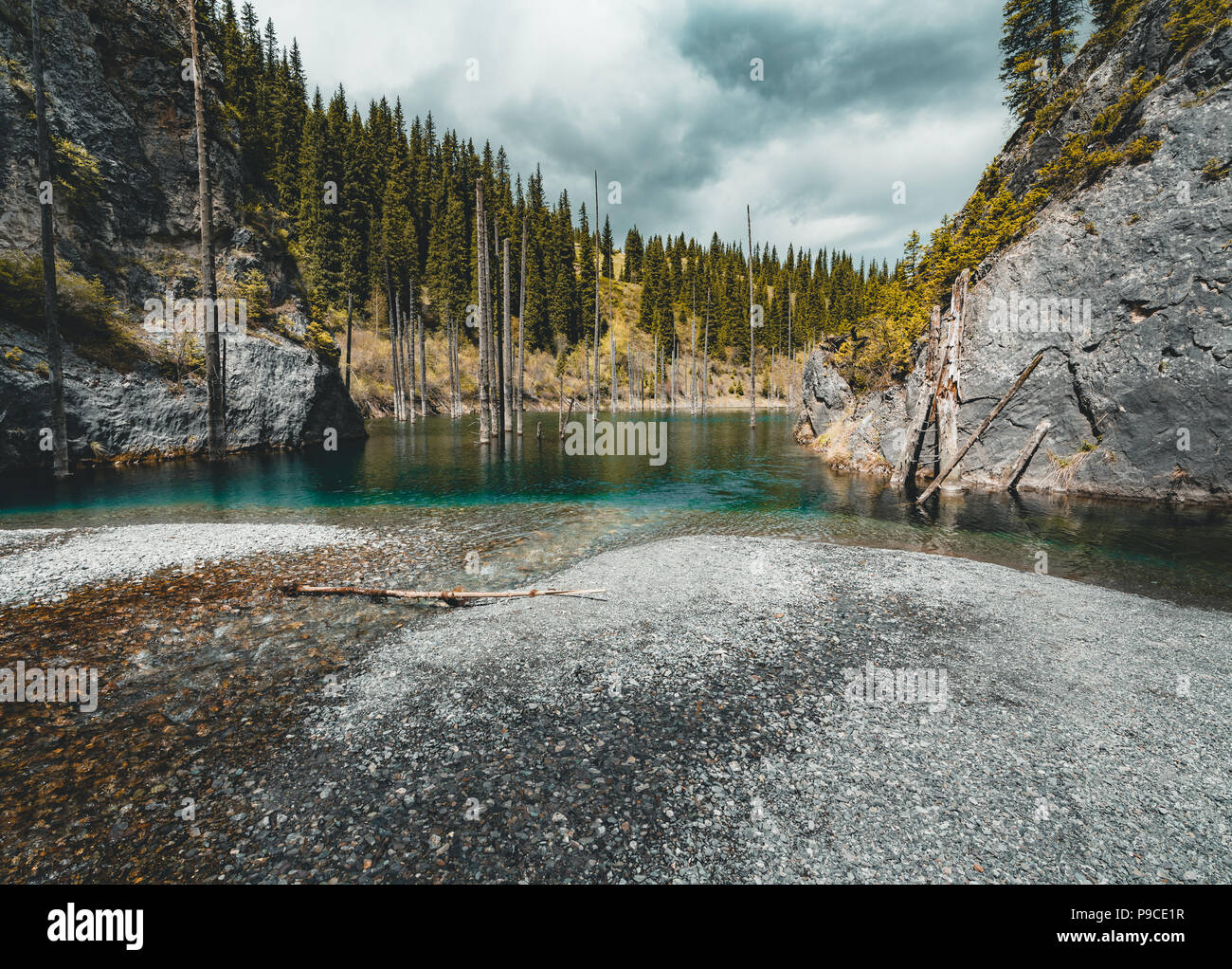 The sunken forest of Lake Kaindy. Lake Kaindy, meaning the "birch tree ...