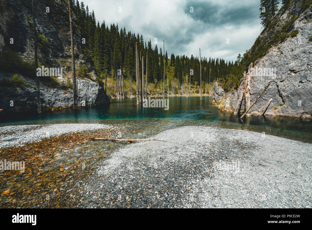 The sunken forest of Lake Kaindy. Lake Kaindy, meaning the "birch tree ...