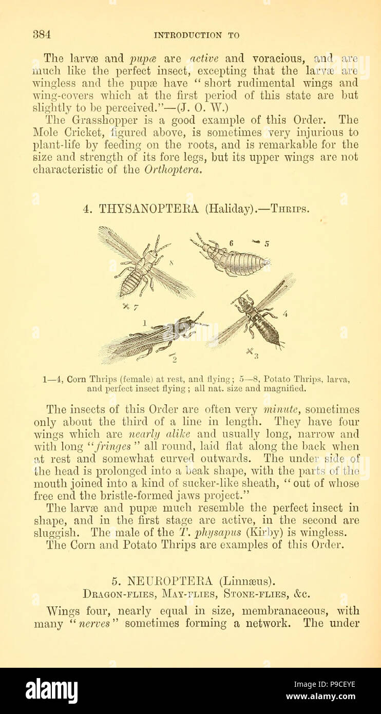 A manual of injurious insects with methods of prevention and remedy for ...