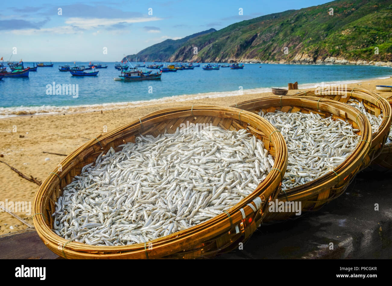 Drying fish in bamboo basket on the beach in Quy Nhon, Vietnam Stock ...