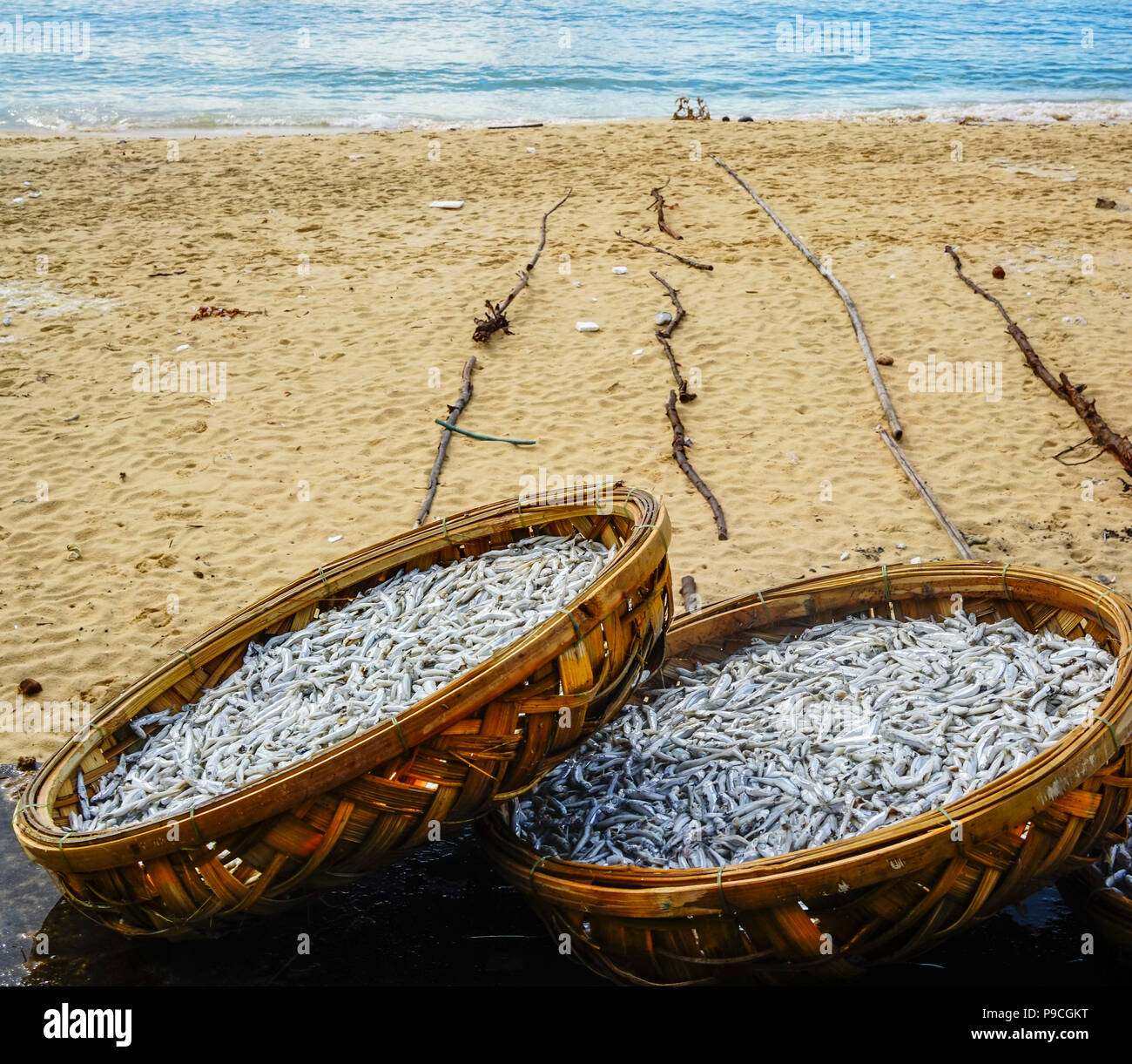 Drying fish in bamboo basket on the beach in Quy Nhon, Vietnam Stock ...