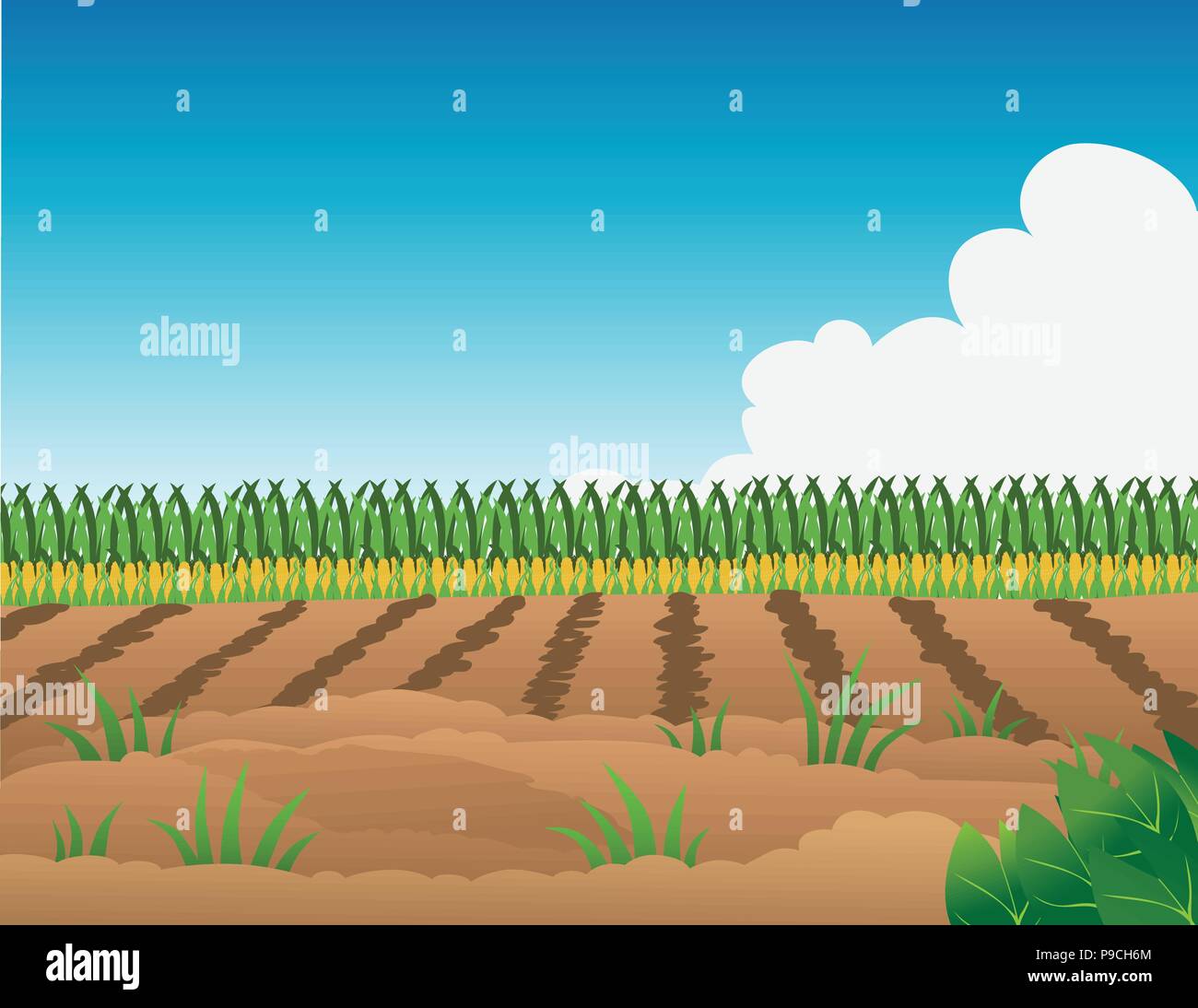 Farm Crops Cartoon