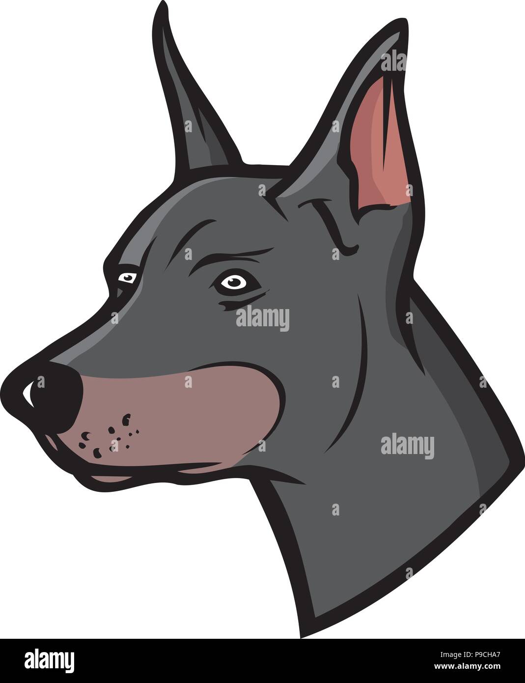 cartoon vector illustration of a Doberman dog Stock Vector Image & Art ...