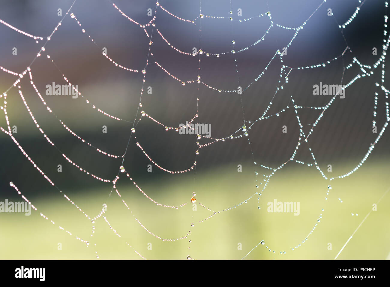 Horizontally format hi-res stock photography and images - Alamy