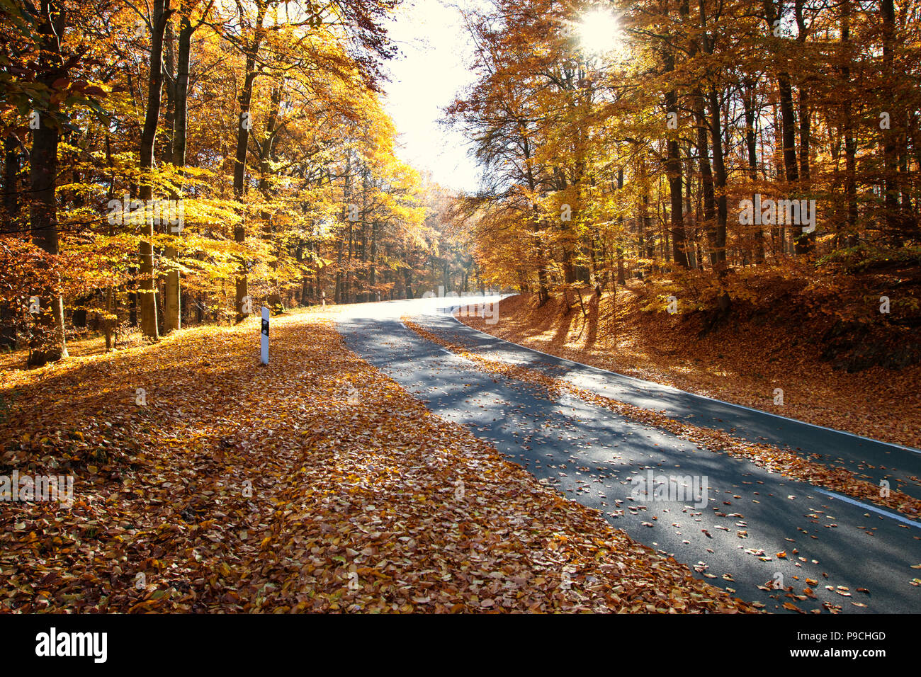 Curvecounter hi-res stock photography and images - Alamy