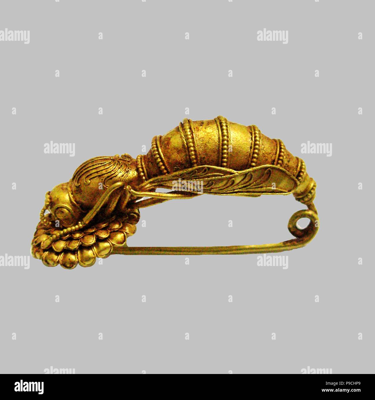 Fibula. Museum: Museum of Russian Art, Minneapolis Stock Photo - Alamy