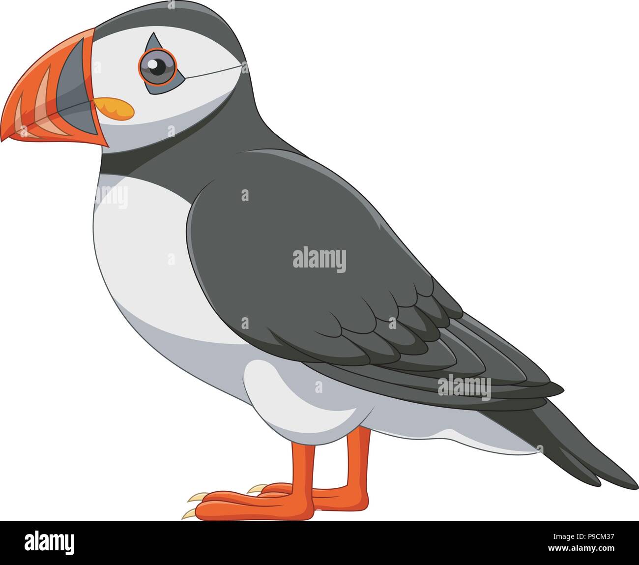 Cartoon puffin isolated on white background Stock Vector Image & Art ...