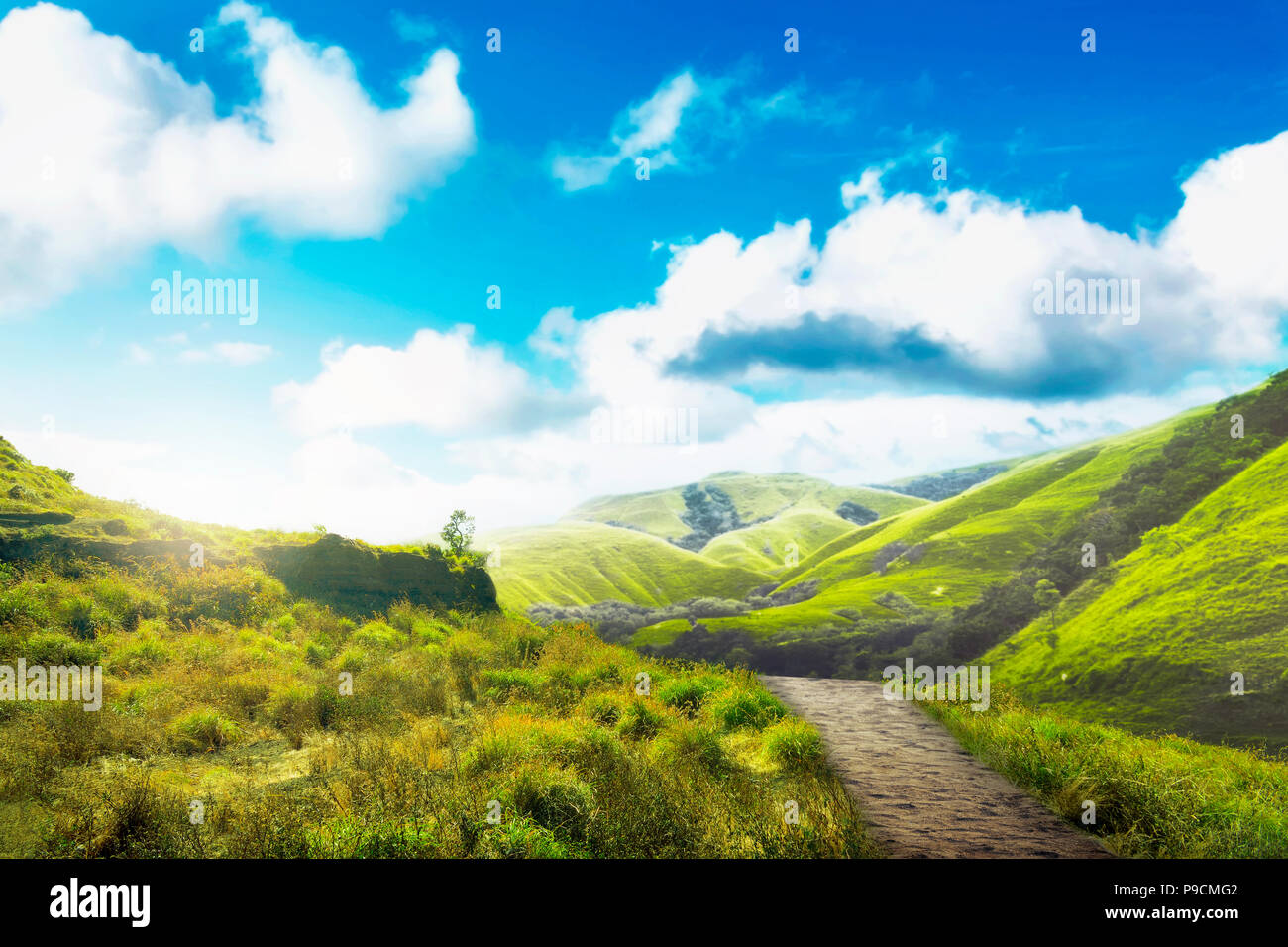 Rocky pathway hi-res stock photography and images - Alamy