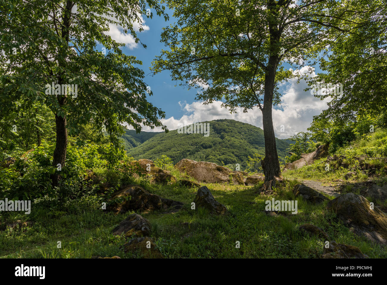 Sebes castle hi-res stock photography and images - Alamy