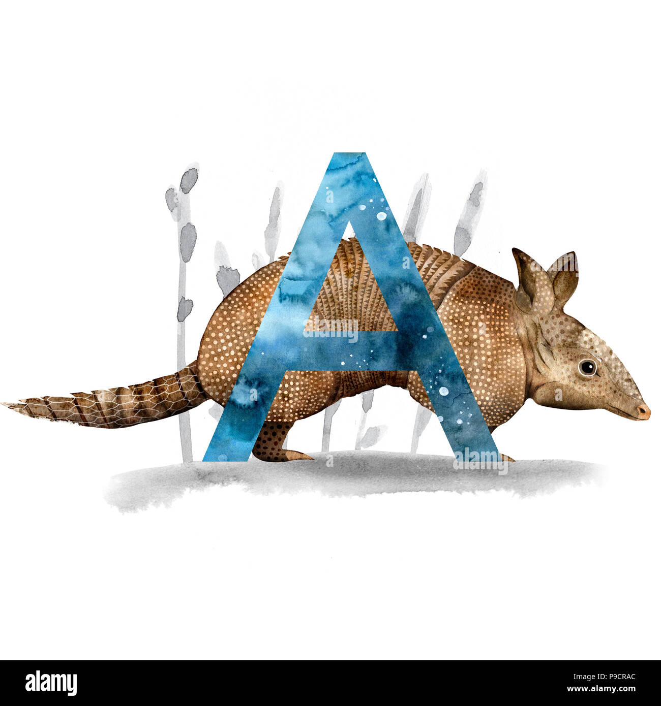 A is for Armadillo, Children's Alphabet Letter Stock Photo - Alamy