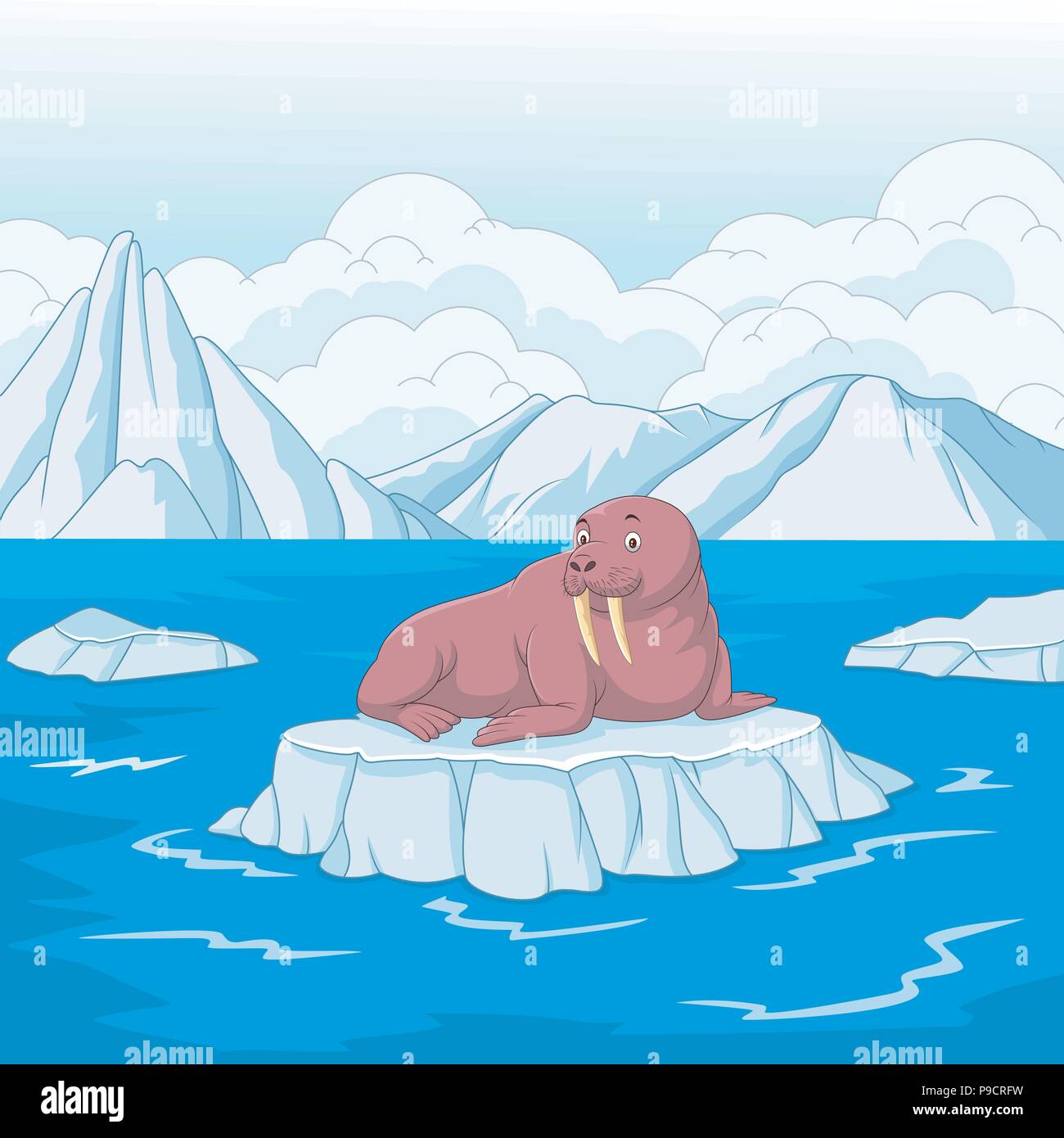 Polar walrus Stock Vector Images - Alamy