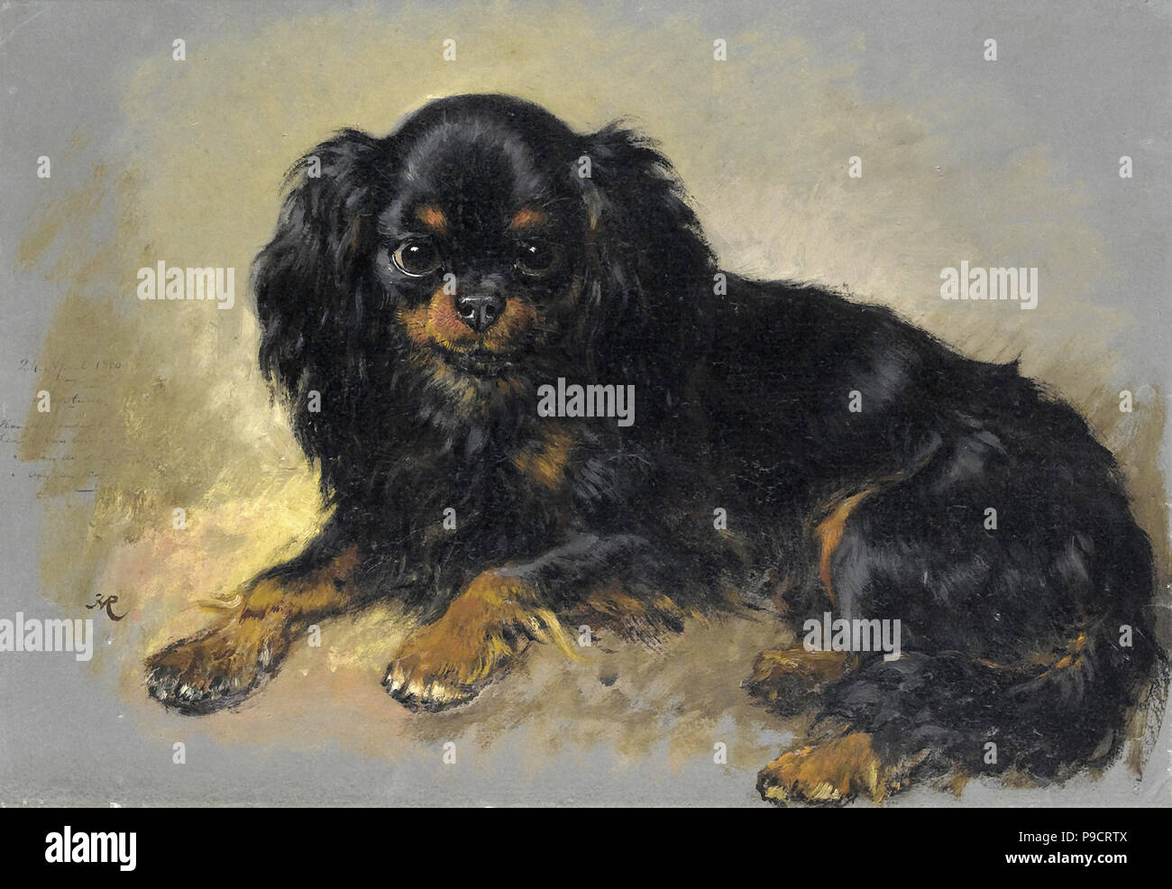 Neptune the king hi-res stock photography and images - Alamy