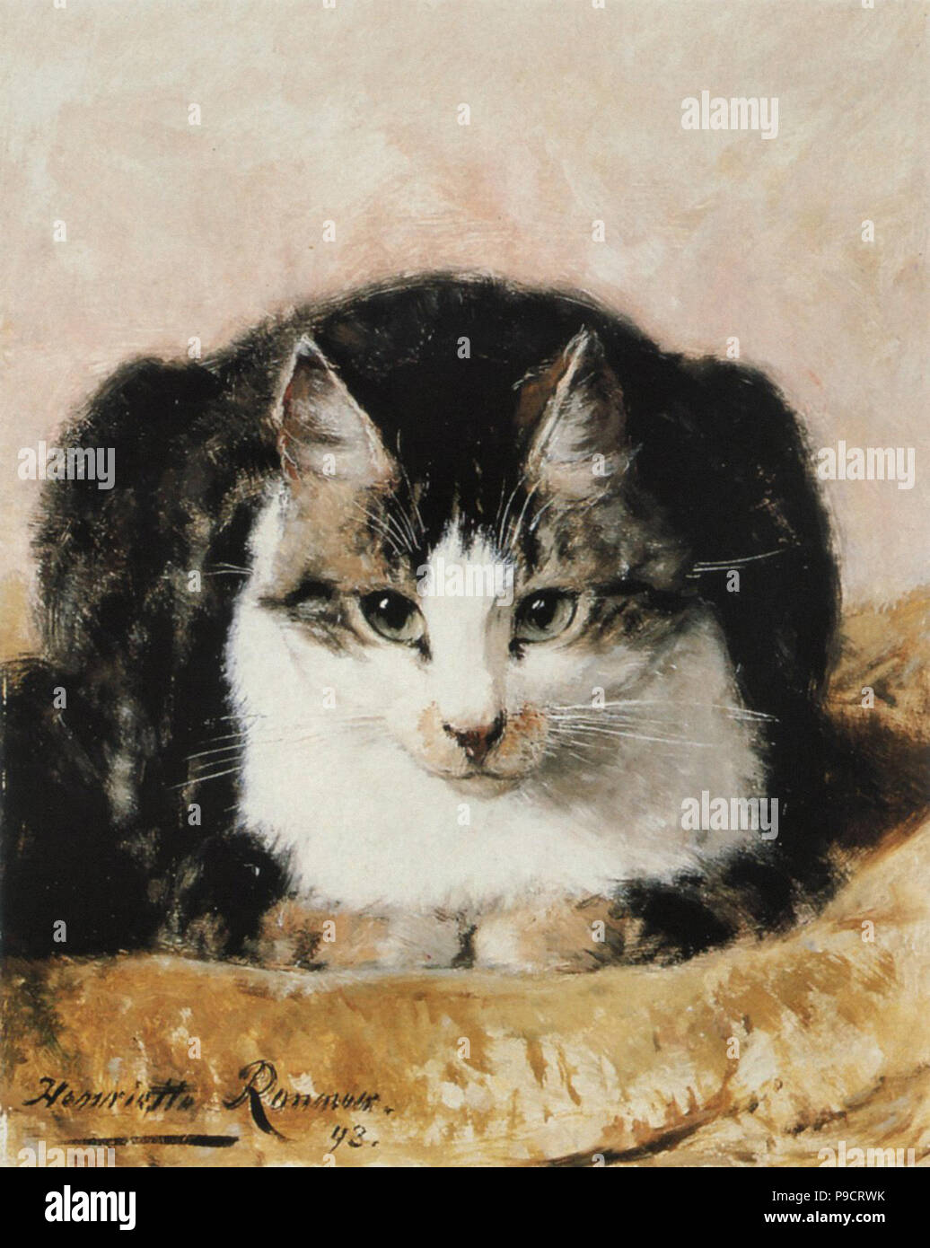 Ronner-Knip Henriùebtte - Poes Stock Photo - Alamy