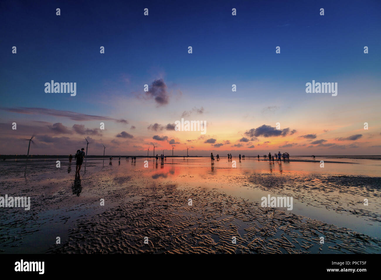 Overview of wetland Stock Photo - Alamy