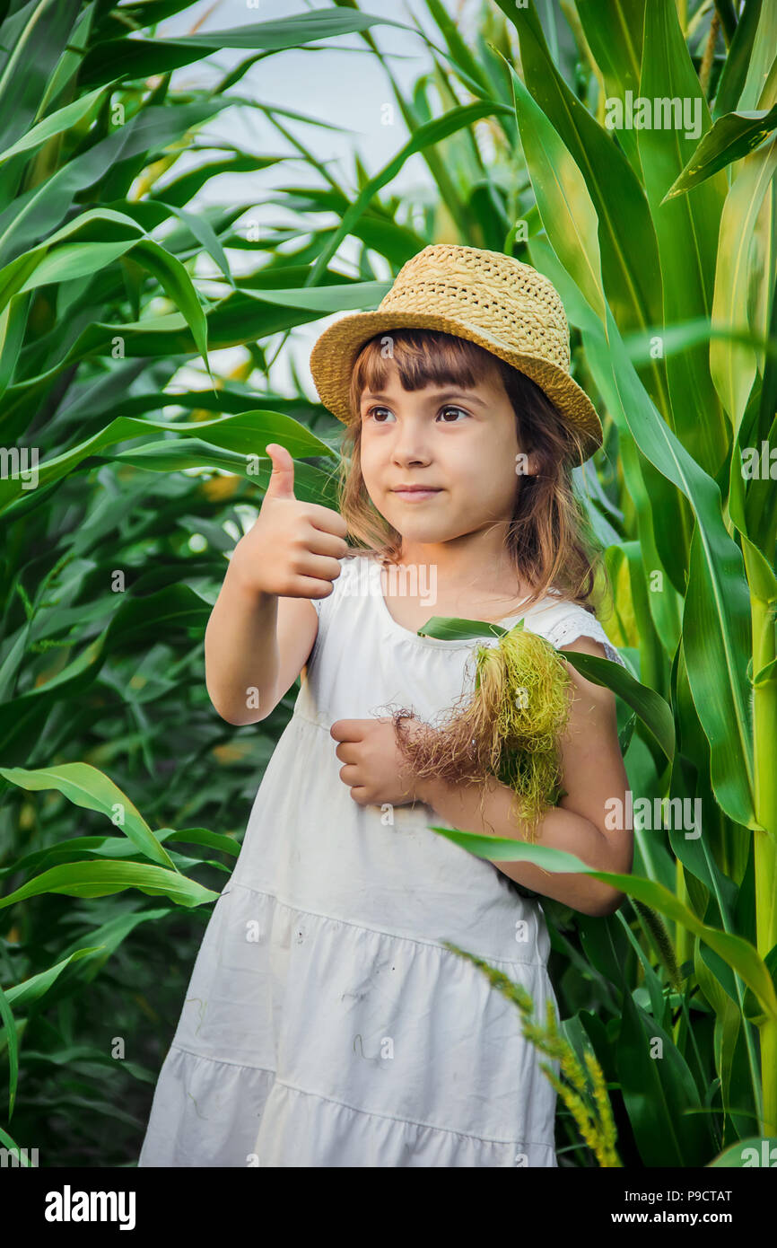 baby in the field of corn. a small farmer. selective focus. nature ...