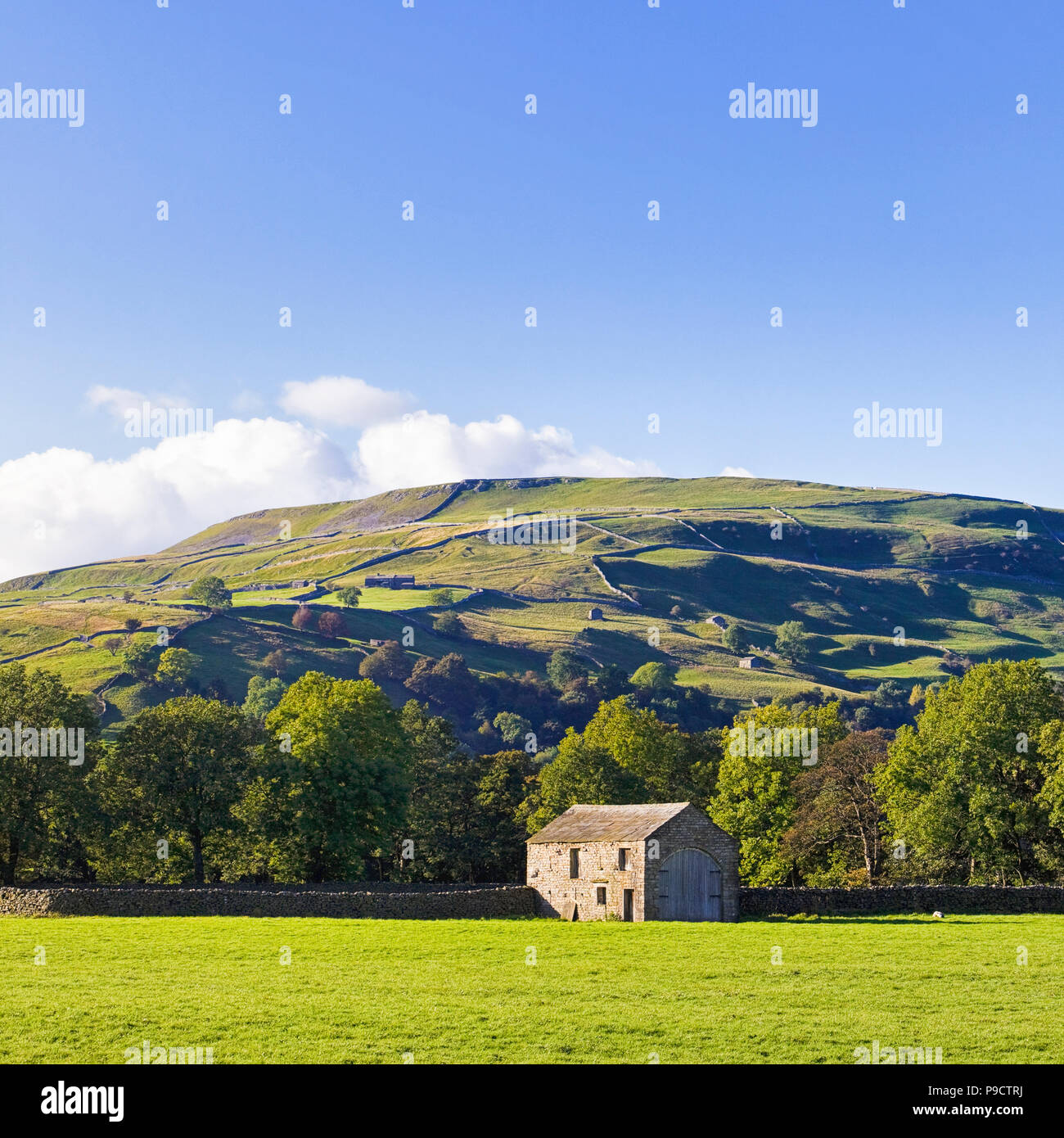 Yorkshire dales barns hi-res stock photography and images - Alamy