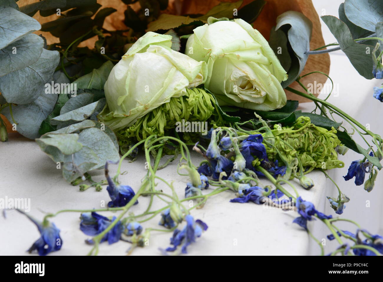 Dead Flowers Stock Photos & Dead Flowers Stock Images - Alamy