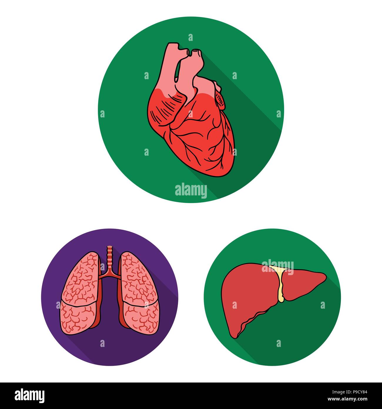 Human organs flat icons in set collection for design. Anatomy and ...
