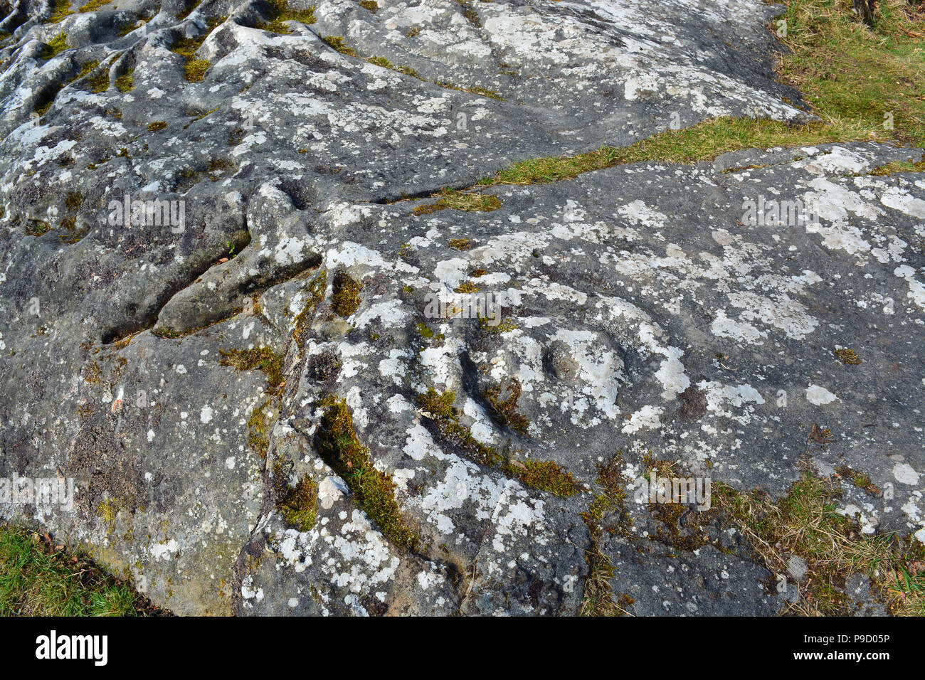 Neolithic rock art carved hi-res stock photography and images - Alamy
