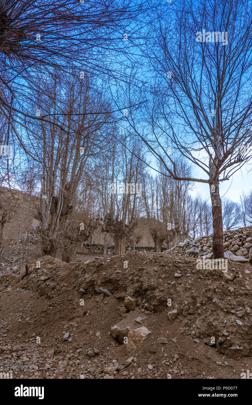 Nako Village, Kinnaur Valley Stock Photo - Alamy