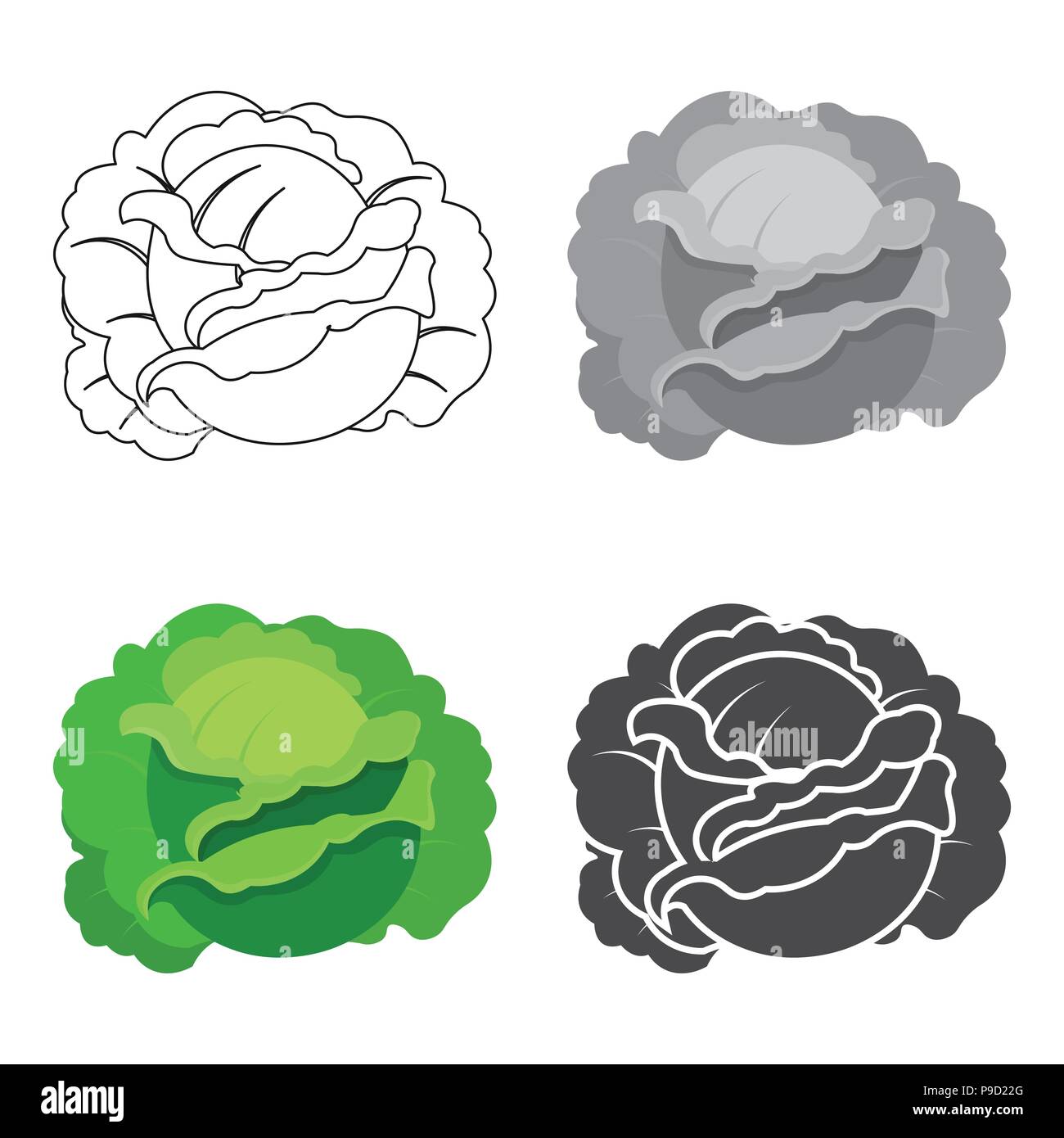 Cabbage icon cartoon. Single plant icon from the big farm, garden ...