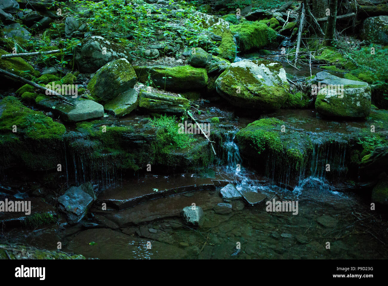 Brook close up hi-res stock photography and images - Alamy