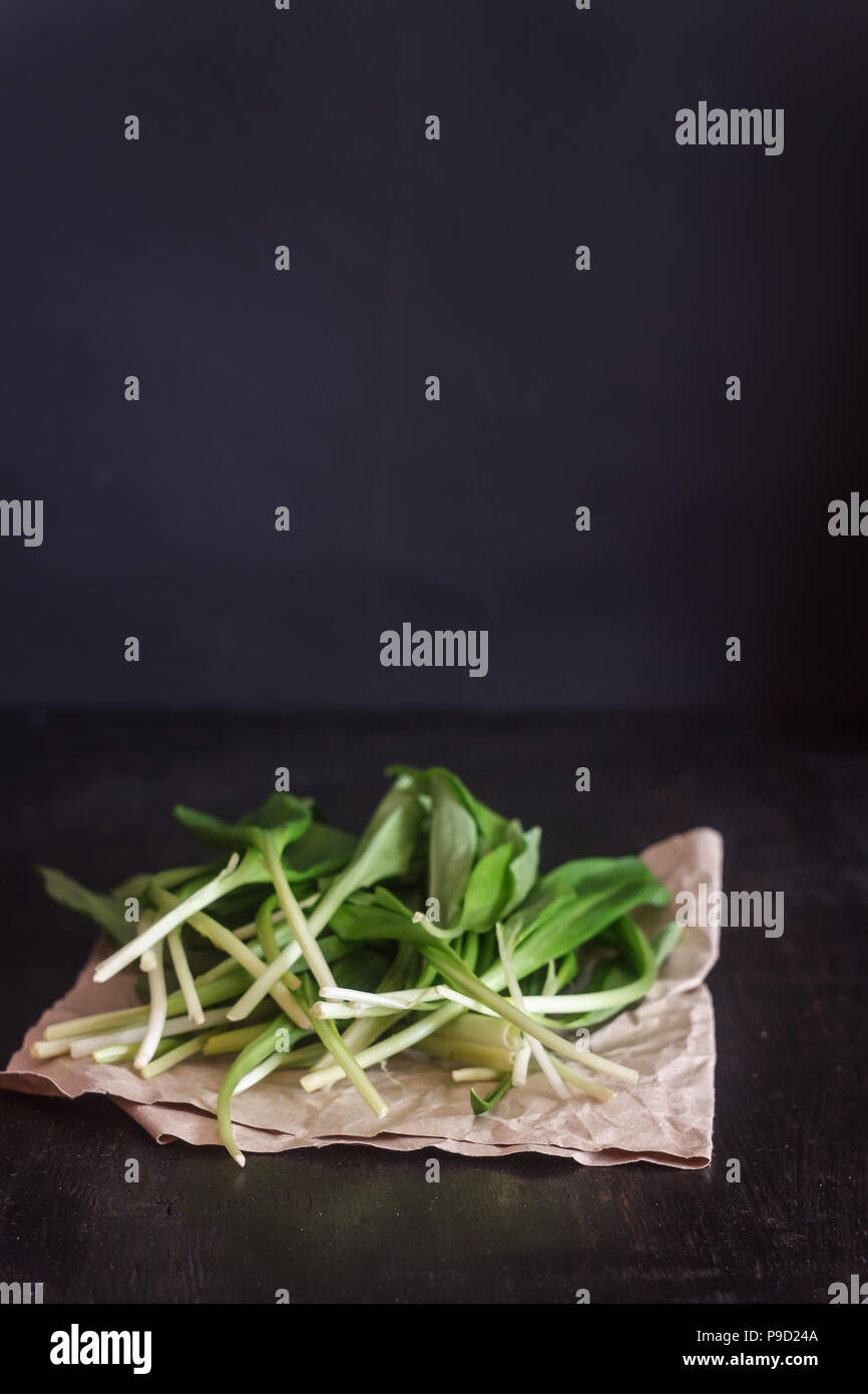Fresh ramson wild garlic, green sprouts in a bag of burlap on a dark ...