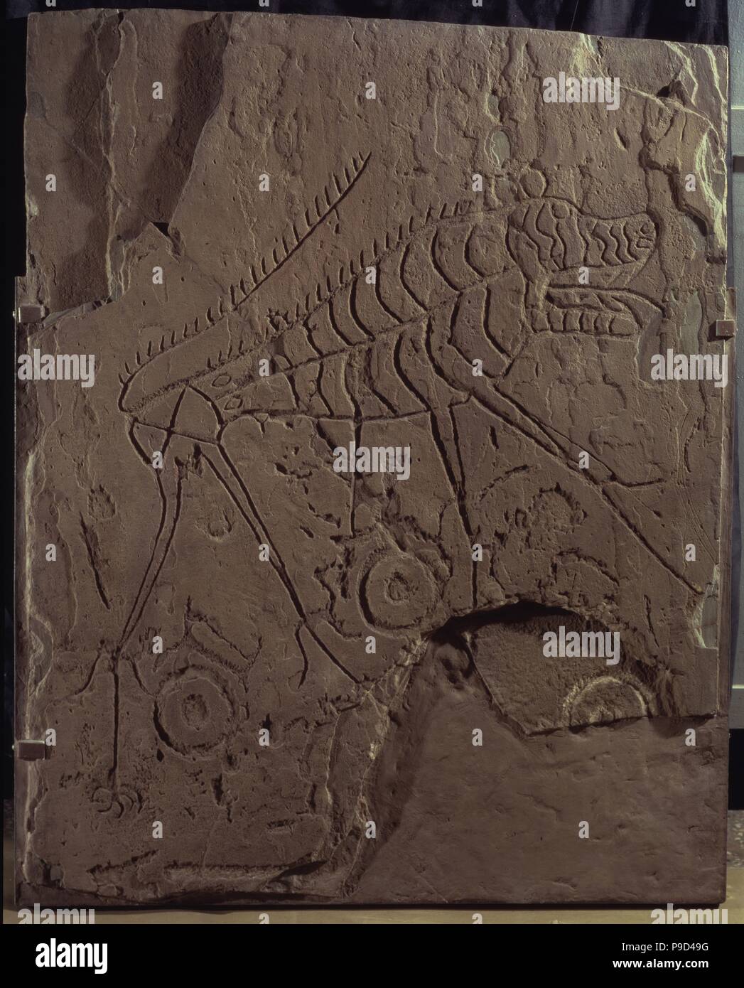 Slab beast hi-res stock photography and images - Alamy